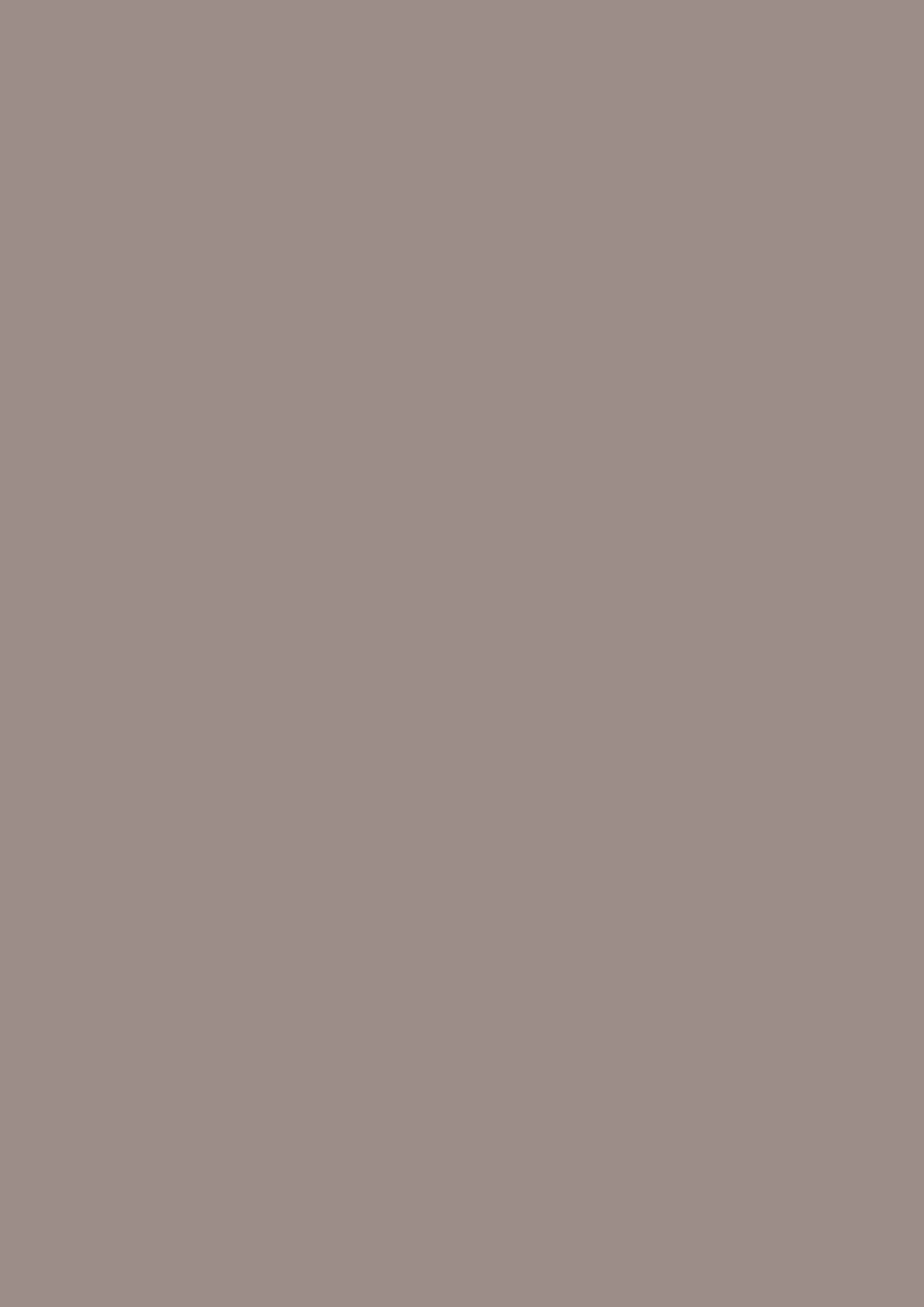 Paint Sample Board - No. 243 Charleston Gray – Whearley & Co.