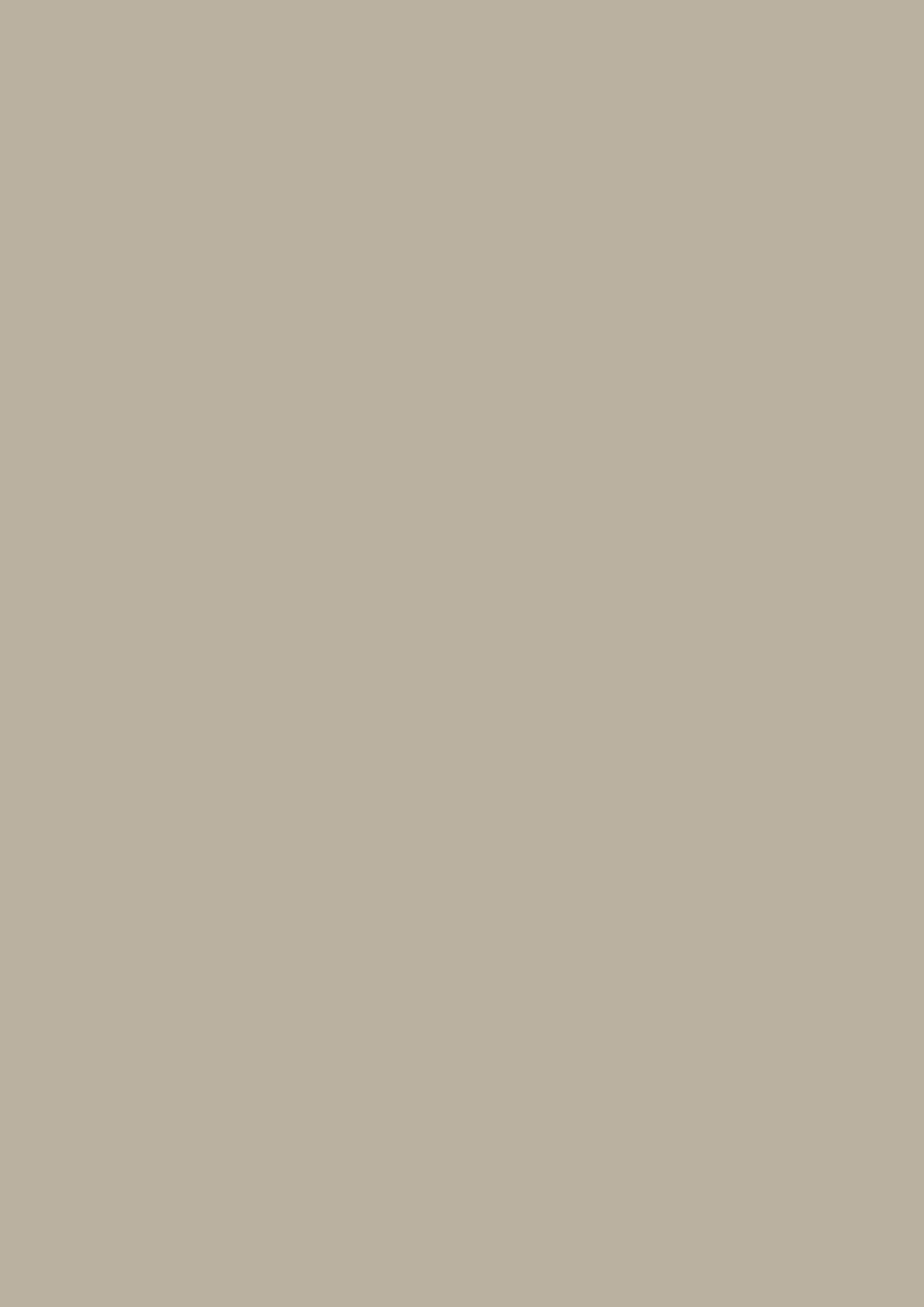 Paint Sample Board - No. 17 Light Gray – Whearley & Co.